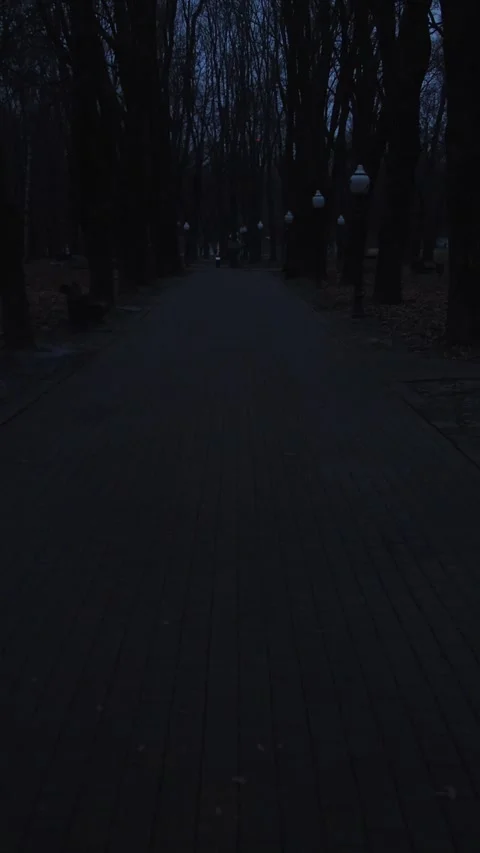 Silent Night Shadow Stock Videos – Royalty-Free HD & 4K Videos