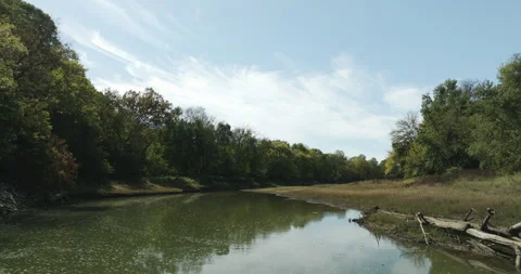 Quiet Stream With Deciduous Forest Trees... | Stock Video | Pond5