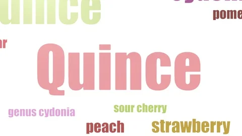 Quince Word Cloud Animated On White Back... | Stock Video | Pond5