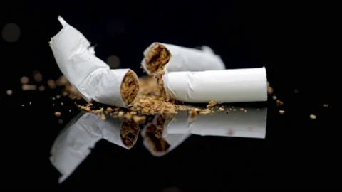 Stop Good Wiked Stock Videos – Royalty-Free HD & 4K Videos | Pond5