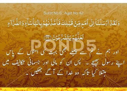 Qurani Ayat In Urdu Quran #islam #ayahoftheday | Muhammad Qasim