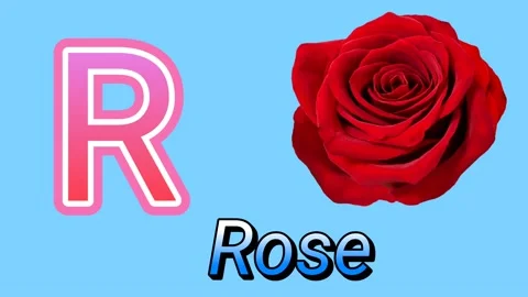 R for Rose - Alphabet learning for kids ... | Stock Video | Pond5