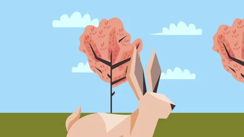 rabbit animal spring season animation | Stock Video | Pond5