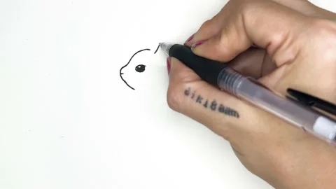 Cartoon Utlines Drawing Stock Videos – Royalty-Free HD & 4K Videos | Page 2