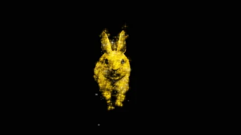 Rabbit front RGB+Alpha | Stock Video | Pond5