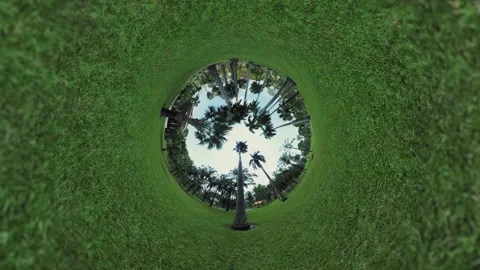 Rabbit Hole Effect Stock Videos – Royalty-Free HD & 4K Videos