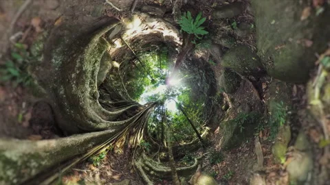 360 Video Background Stock Footage ~ Royalty Free Stock Videos | Page 6