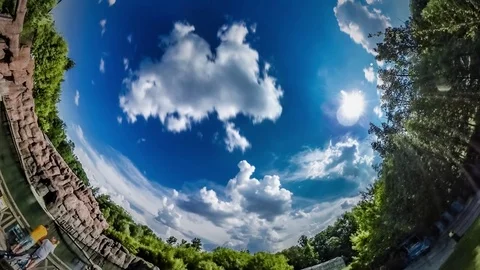 360 Vr Animals Stock Footage ~ Royalty Free Stock Videos | Pond5