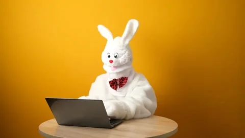 Rabbit with laptop. A man in a white rab... | Stock Video | Pond5