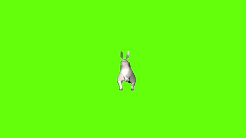 Rabbit Run Animation Stock Videos – Royalty-Free HD & 4K Videos