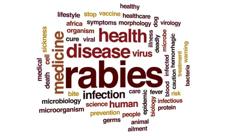 Rabies animated word cloud, text design ... | Stock Video | Pond5