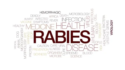 Rabies animated word cloud, text design ... | Stock Video | Pond5
