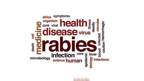 Rabies animated word cloud, text design ... | Stock Video | Pond5