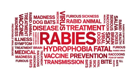 Rabies animated word cloud,animation dis... | Stock Video | Pond5