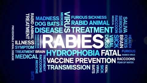 Rabies animated word cloud,animation dis... | Stock Video | Pond5