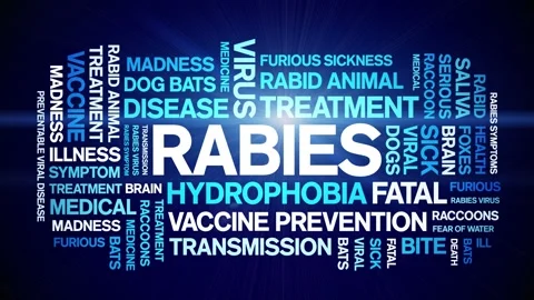 Rabies animated word cloud,animation dis... | Stock Video | Pond5