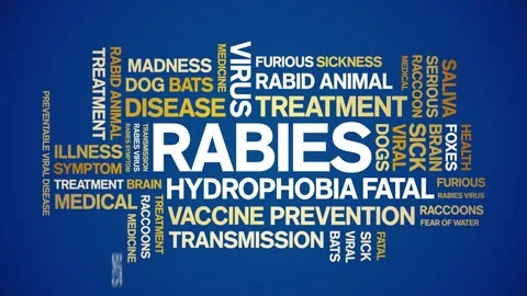 Rabies animated word cloud,animation dis... | Stock Video | Pond5