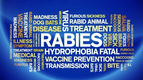 Rabies animated word cloud,animation dis... | Stock Video | Pond5