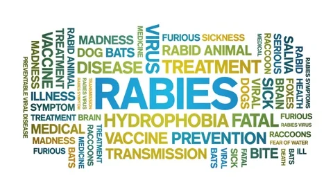 Rabies animated word cloud,animation dis... | Stock Video | Pond5