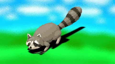 raccoon animal , 2d animated, background | Stock Video | Pond5