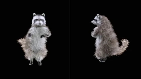 Dance Pose Clipart Stock Video Footage | Royalty Free Dance Pose ...