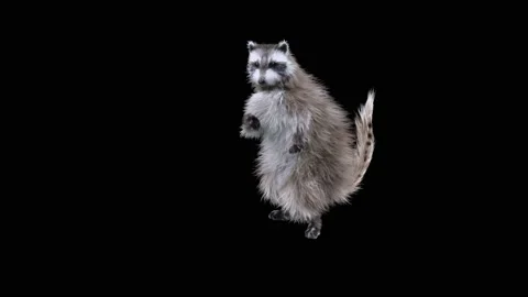 Dance Pose Clipart Stock Video Footage | Royalty Free Dance Pose ...