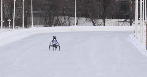 Horse Racing Drawings Stock Videos – Royalty-Free HD & 4K Videos | Pond5