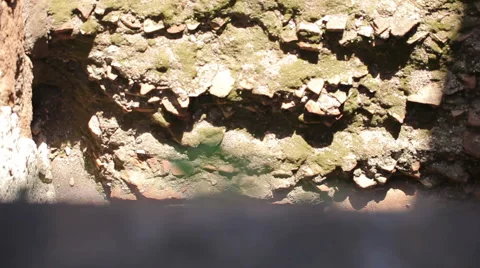 Racking focus shot of plants and a ditch... | Stock Video | Pond5