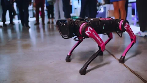 Radio-controlled robot dogs at a technol... | Stock Video | Pond5