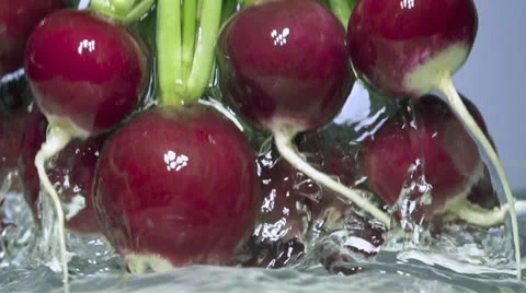 Water Splash Stock Footage ~ Royalty Free Stock Videos | Page 9