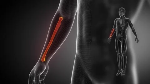 RADIUS bone skeleton x-ray scan in blac... | Stock Video | Pond5