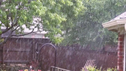 Rain On Backyard Stock Videos – Royalty-Free HD & 4K Videos