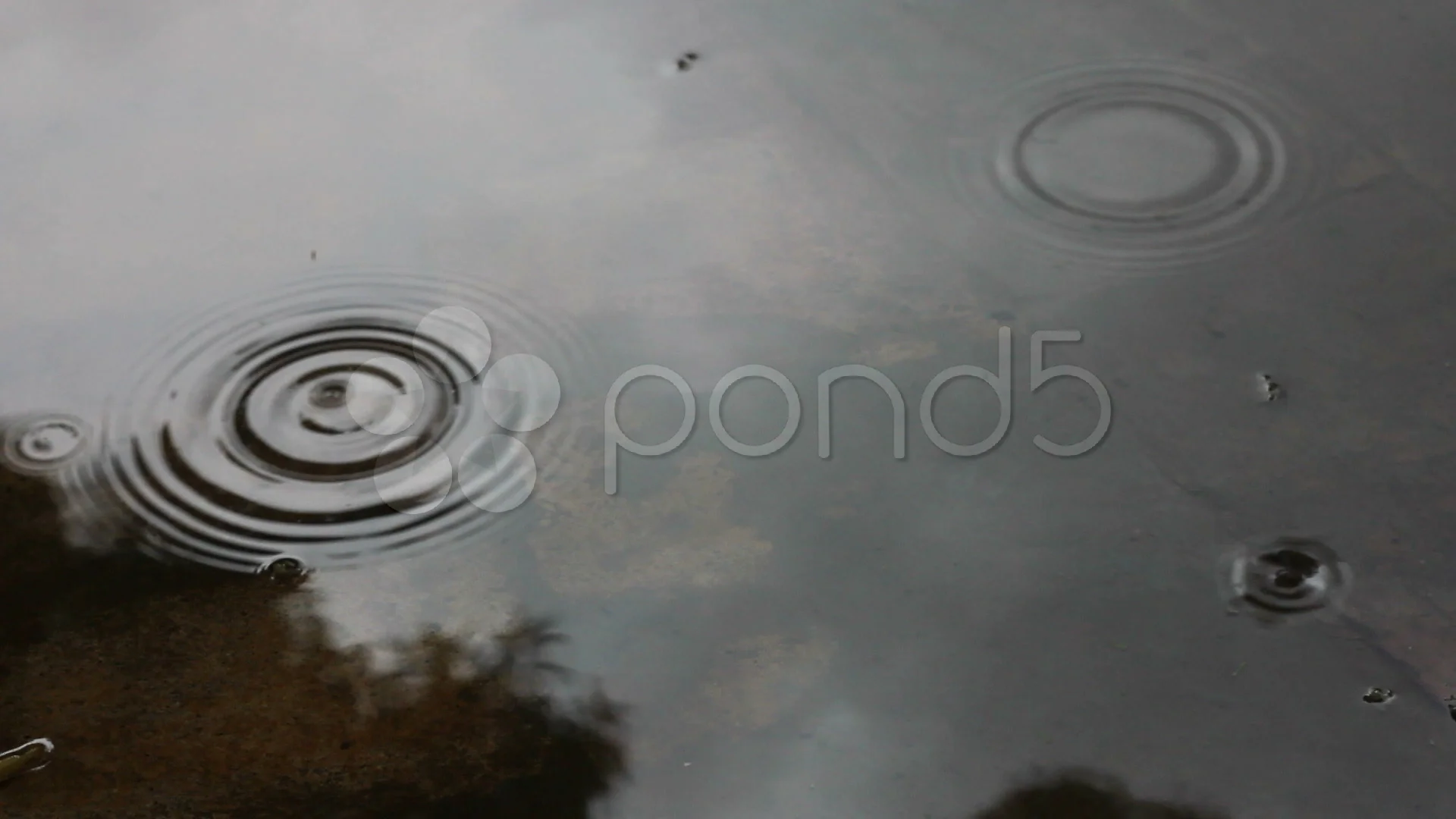 Rain Ripples