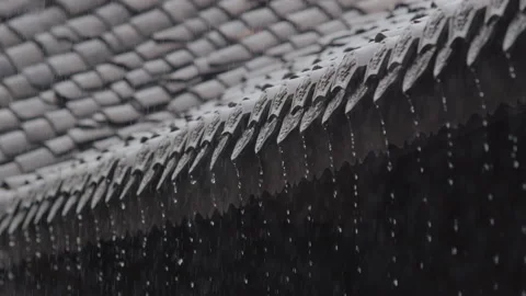 Eaves Dropping Stock Footage ~ Royalty Free Stock Videos | Pond5