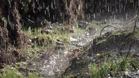 Rain Hitting Ground Stock Footage ~ Royalty Free Stock Videos | Pond5