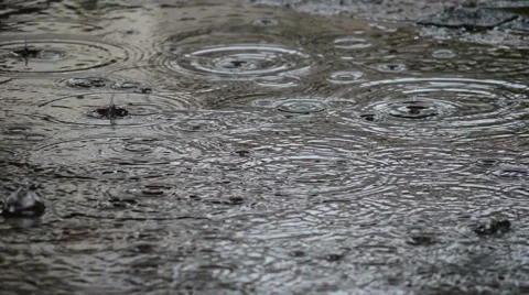 Rain Drops On Puddle Stock Footage ~ Royalty Free Stock Videos | Pond5