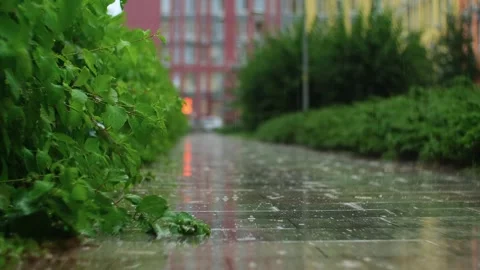 Rain drops dripping in a puddle on the r... | Stock Video | Pond5
