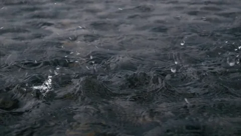 Water Fall Animal Stock Videos – Royalty-Free HD & 4K Videos | Page 3