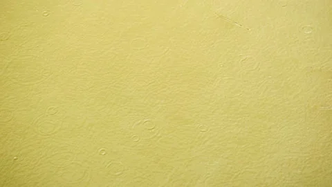 Water Fall Animal Stock Videos – Royalty-Free HD & 4K Videos | Page 5