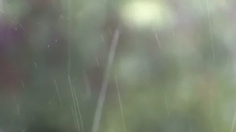 Rain drops falling down on natural green... | Stock Video | Pond5