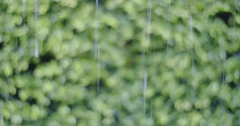 Rain Falling On Camera Stock Videos – Royalty-Free HD & 4K Videos