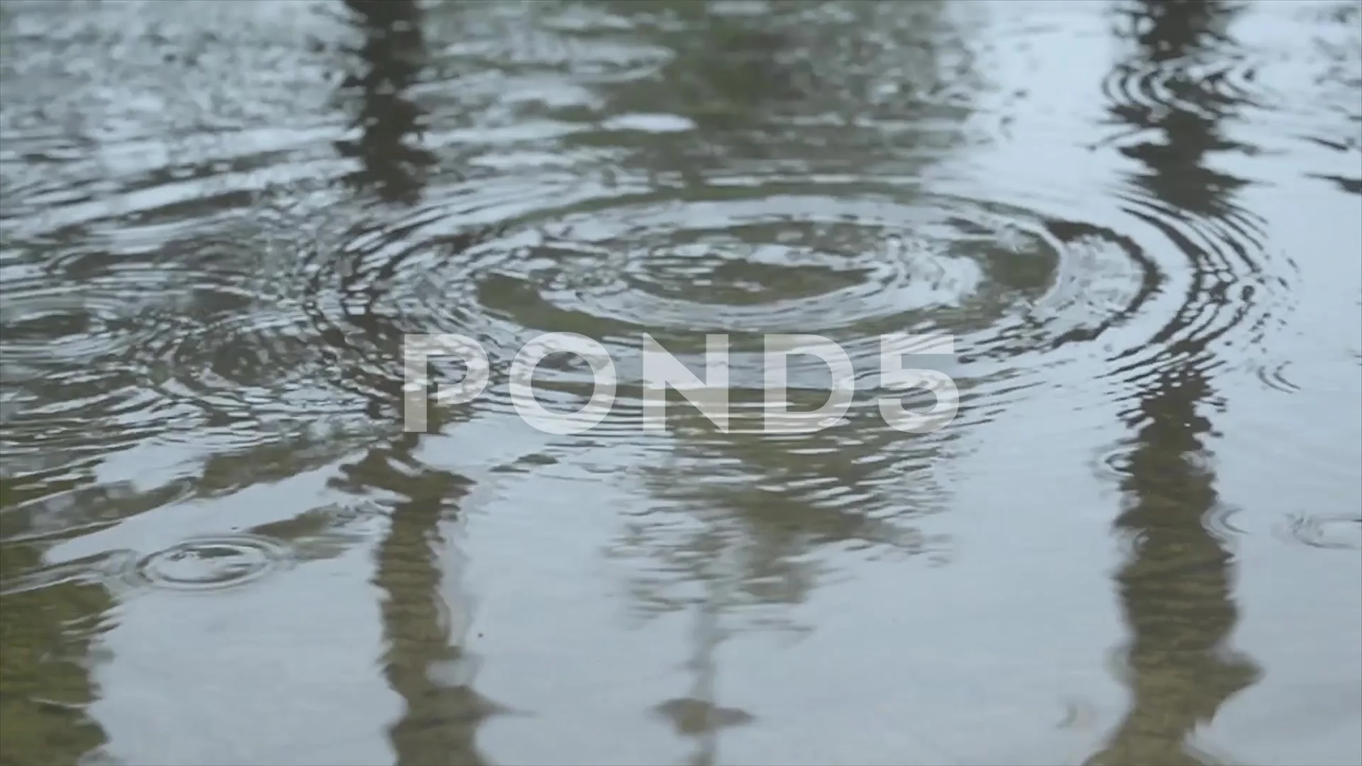 Raindrops Falling In Water