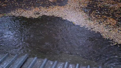 Rain Drops Flow Down, Fall from the Roof... | Stock Video | Pond5