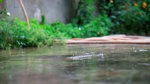 Rain Hitting Ground Stock Videos – Royalty-Free HD & 4K Videos | Pond5