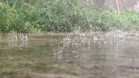 Rain Hitting Ground Stock Videos – Royalty-Free HD & 4K Videos | Pond5