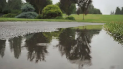 Rain Drops On Puddle Stock Footage ~ Royalty Free Stock Videos | Pond5