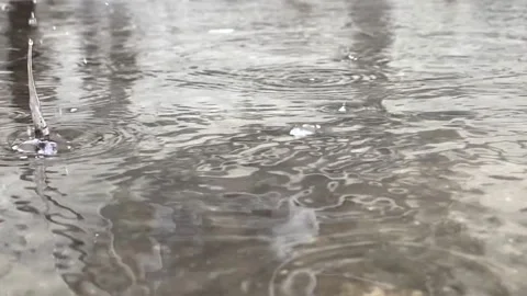 Rain drops in slow motion. Water drop sp... | Stock Video | Pond5