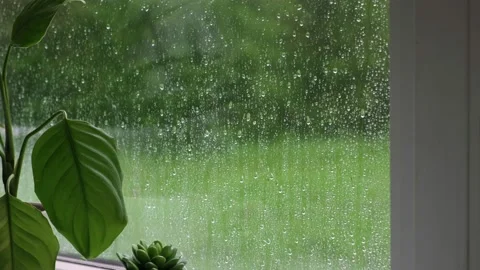 Rain drops on transparent glass on a win... | Stock Video | Pond5
