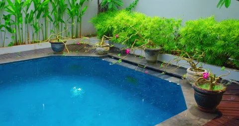 Pool Potings Stock Videos – Royalty-Free HD & 4K Videos | Pond5