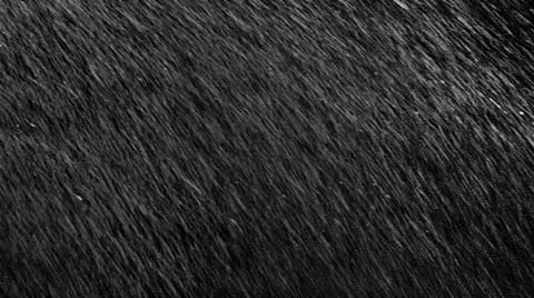 Rain Fx Stock Footage ~ Royalty Free Stock Videos | Pond5